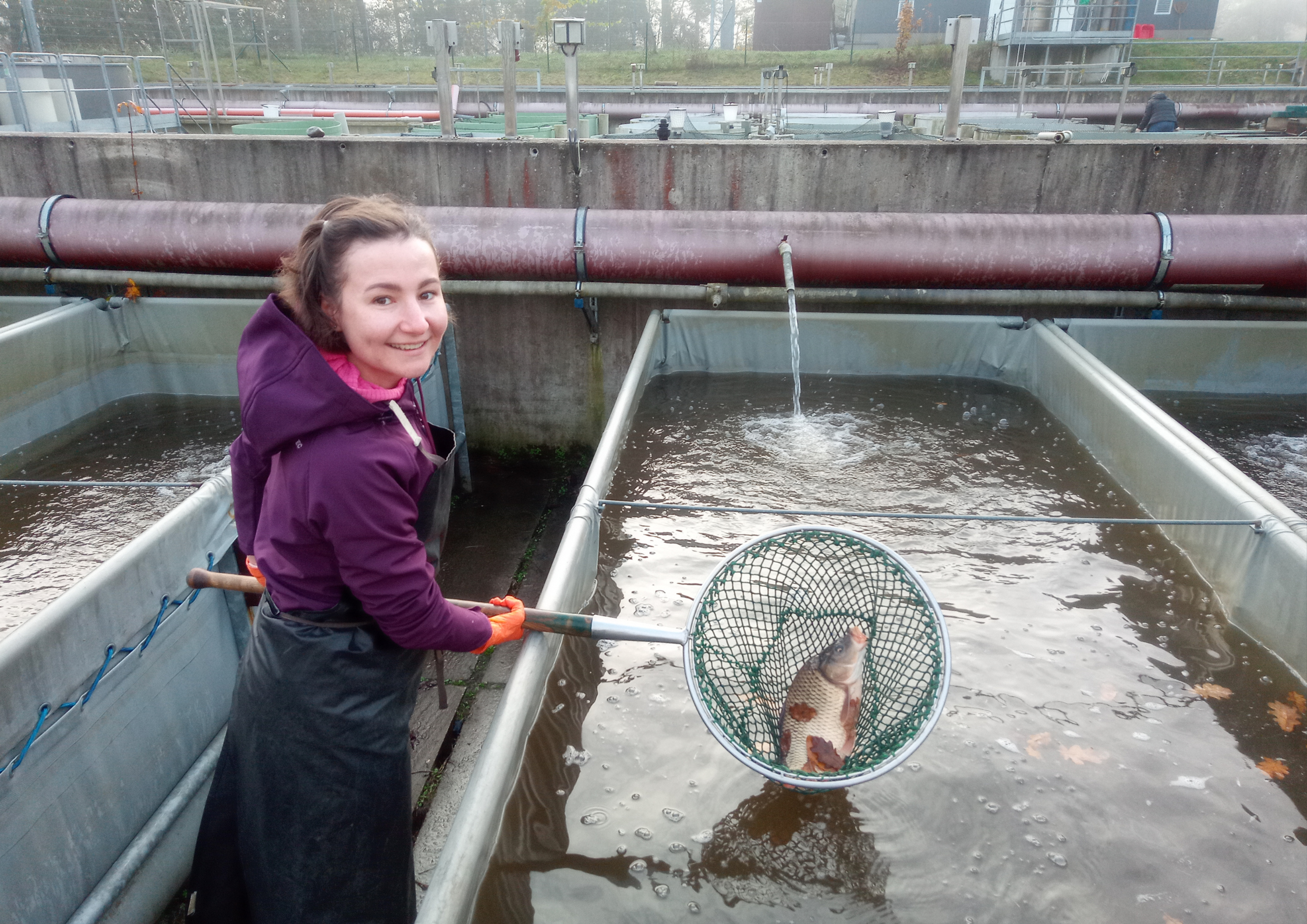 From Lab to Field: Discovering Šumava's Aquatic Treasures - Interreg Volunteer Youth